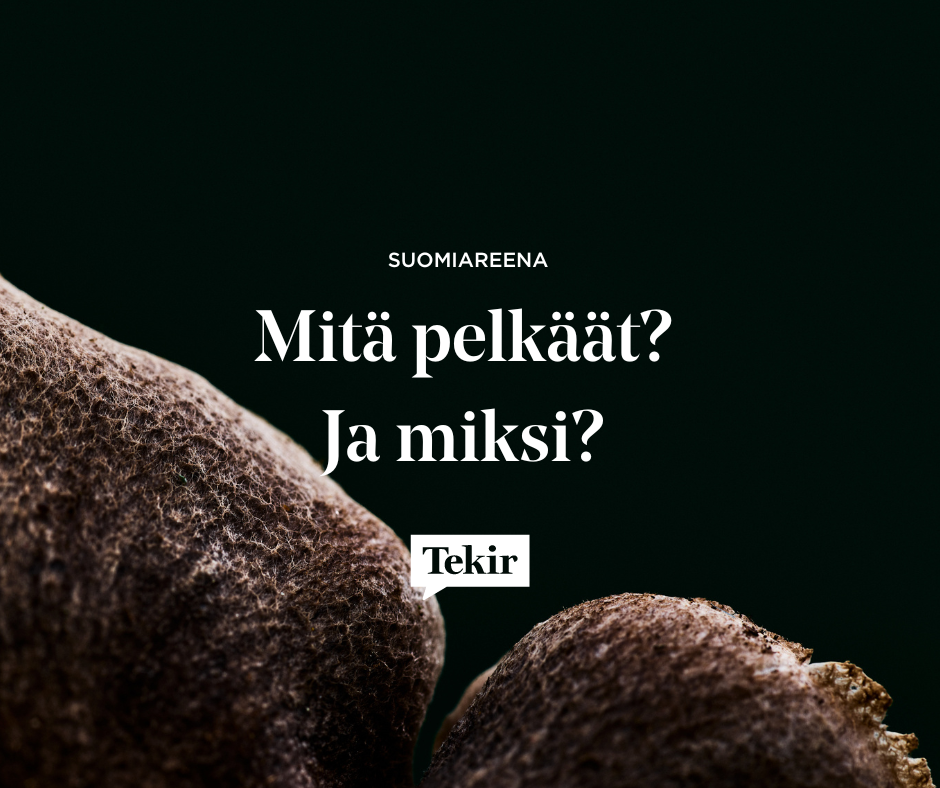 Mitä pelkäät? Ja miksi? - Tekir